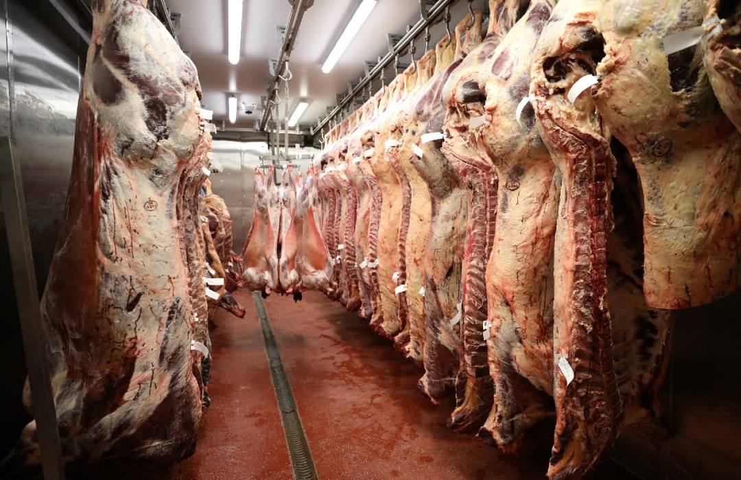 GOIÁS ABATE MAIS BOVINOS – AGRODF